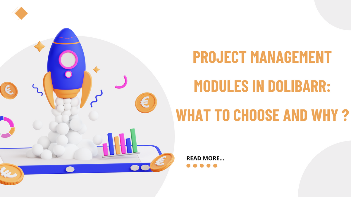 Project Management Modules in Dolibarr: What to Choose and Why ...